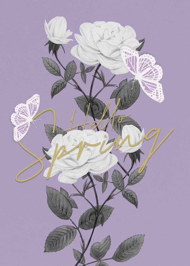 Cards Blank Space Frame Illustrated Images | Download Free Design ...