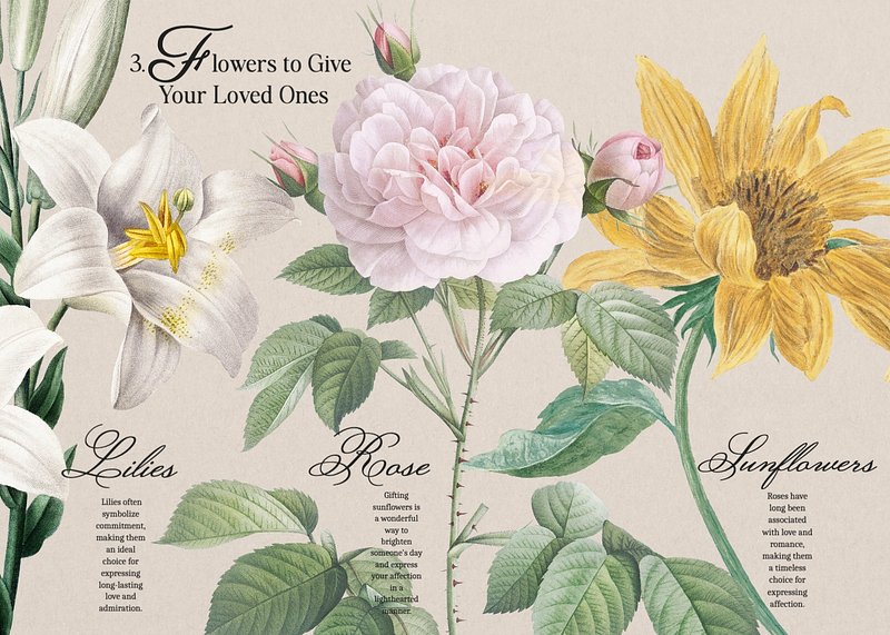 Pierre Joseph Redouté Floral Vintage Images | Download Free Design ...