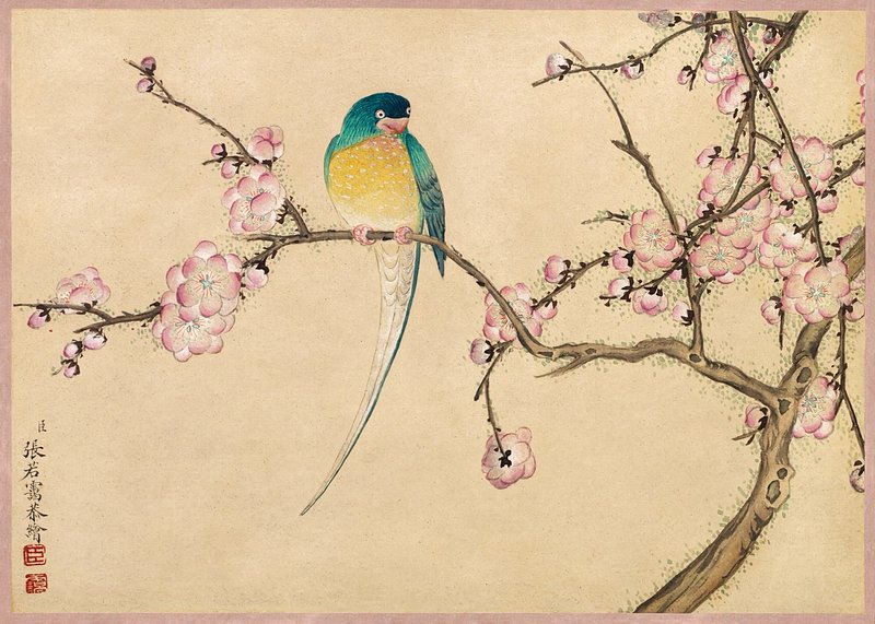 Detail Bird Plum Blossoms (18th | Free Video - rawpixel