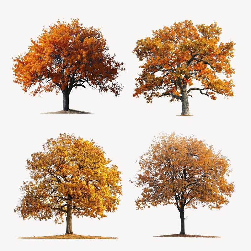 Vibrant autumn trees different stages | Premium PSD - rawpixel