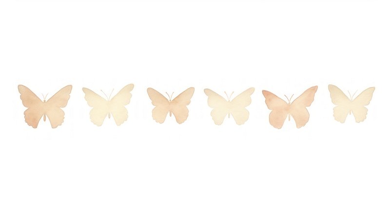 Butterfly Divider Images | Free Photos, PNG Stickers, Wallpapers ...