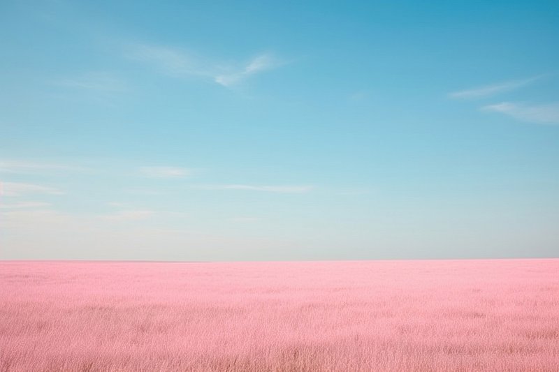 Pink Fields Images | Free Photos, PNG Stickers, Wallpapers ...