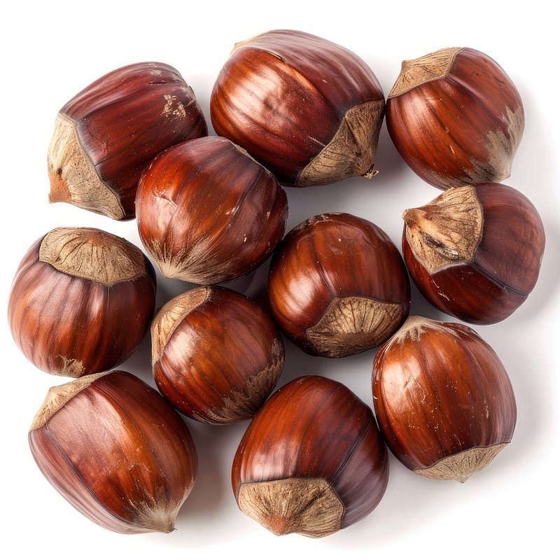 Hazelnut Images | Free Photos, PNG Stickers, Wallpapers & Backgrounds ...