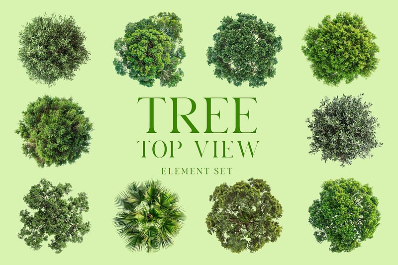 Tree top view element set | Premium Photo - rawpixel