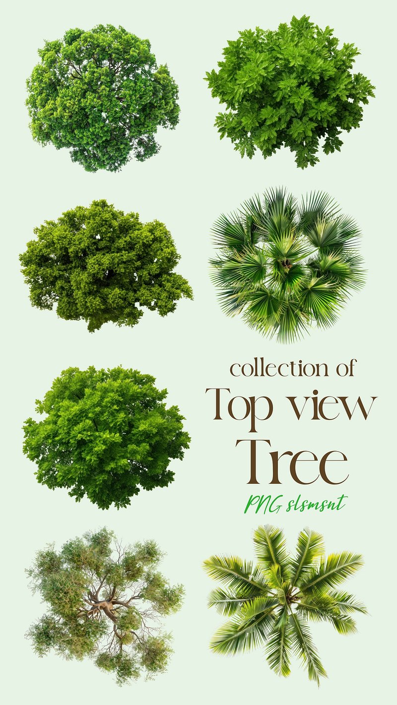 Tree top view element set | Free Photo - rawpixel