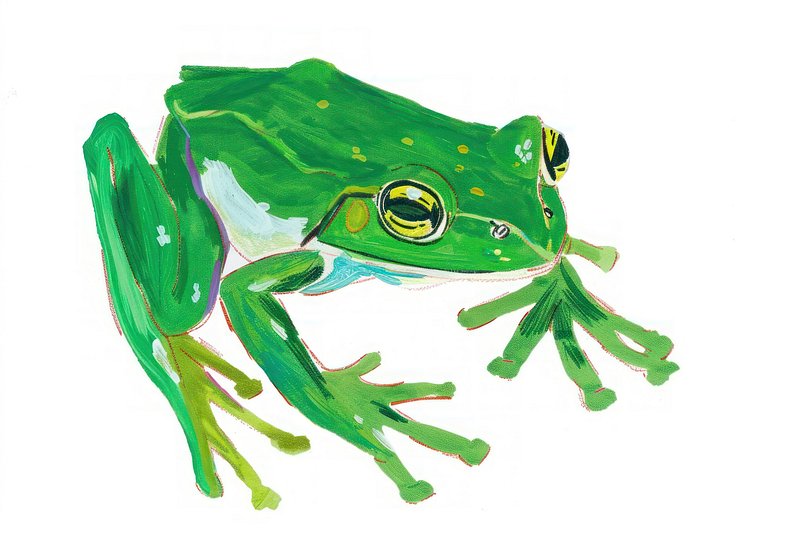 Frog Texture Images | Free Photos, PNG Stickers, Wallpapers ...