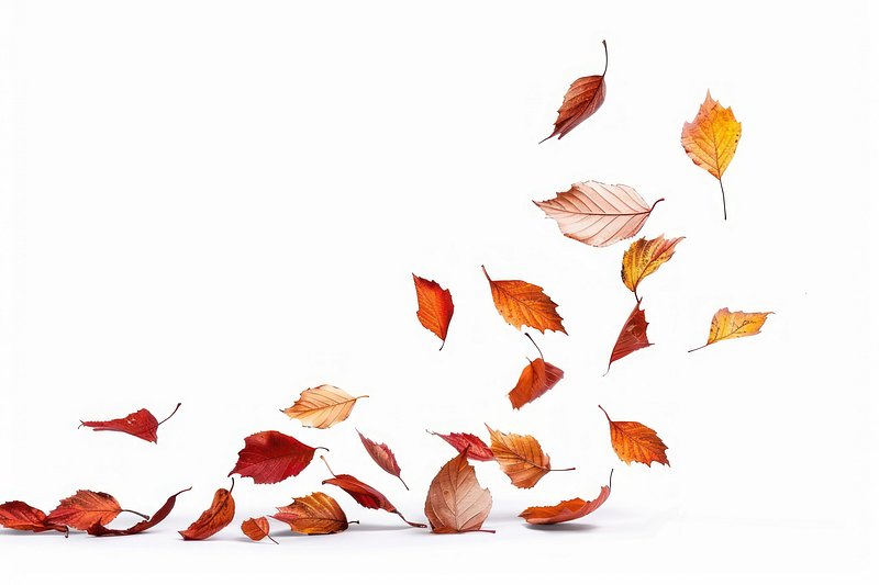 Autumn leaves blowing in wind | Free Photo - rawpixel