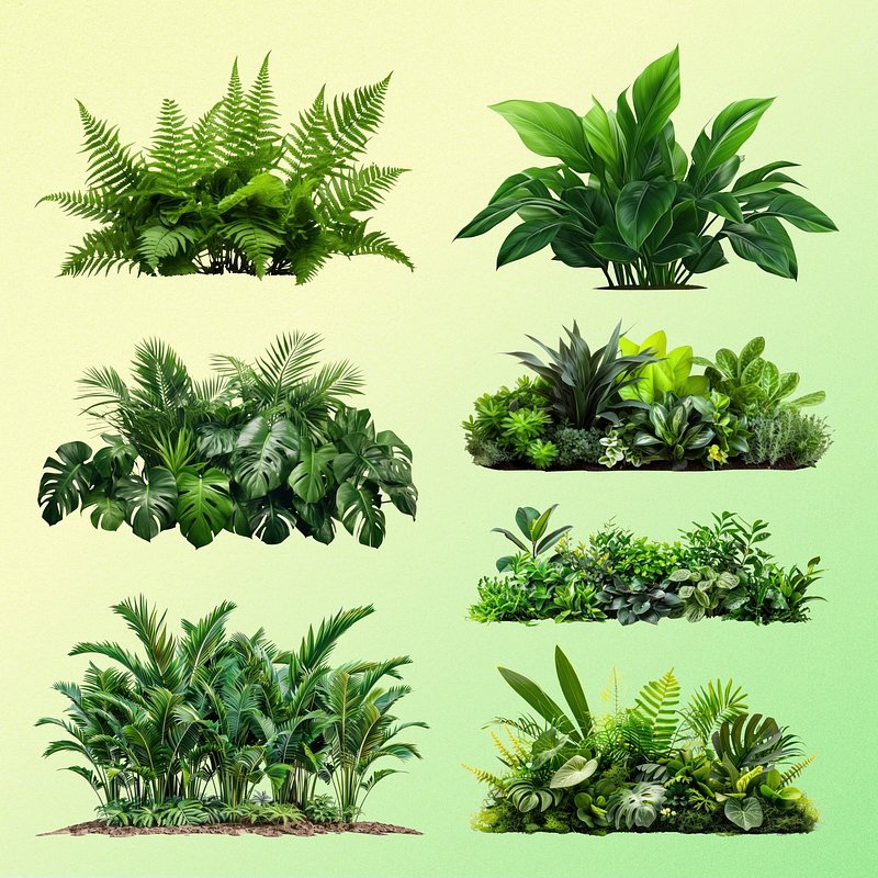 Bushes design element set | Free Photo - rawpixel