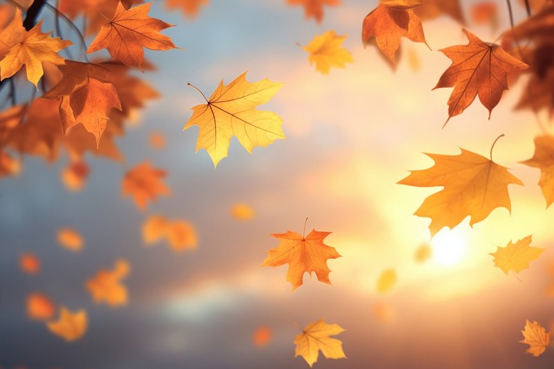 Autumn leaves falling blue sky | Free Photo - rawpixel