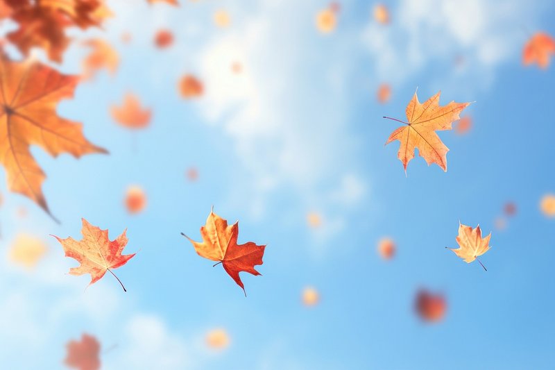 Autumn leaves falling blue sky | Free Photo - rawpixel