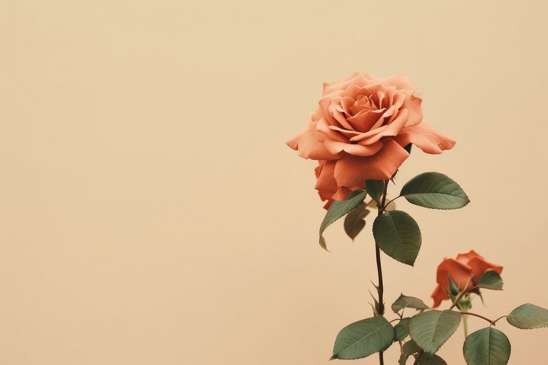 Peper Vintage Images | Free Photos, PNG Stickers, Wallpapers ...