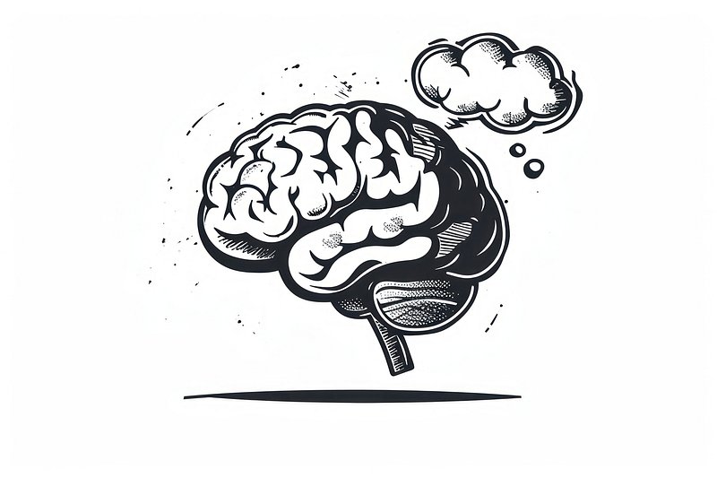 Brain drawing sketch hand. | Premium Photo Illustration - rawpixel