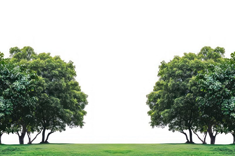 Oak tree border plant backgrounds | Free Photo - rawpixel