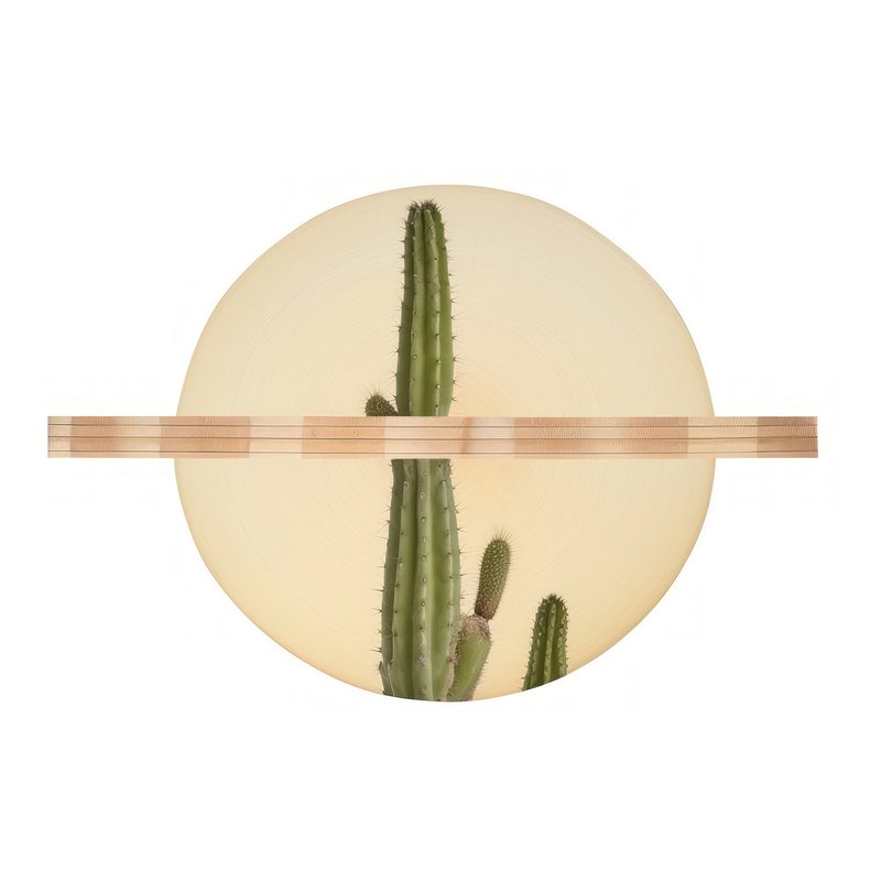 Cactus ephemera plant white background | Free Photo - rawpixel