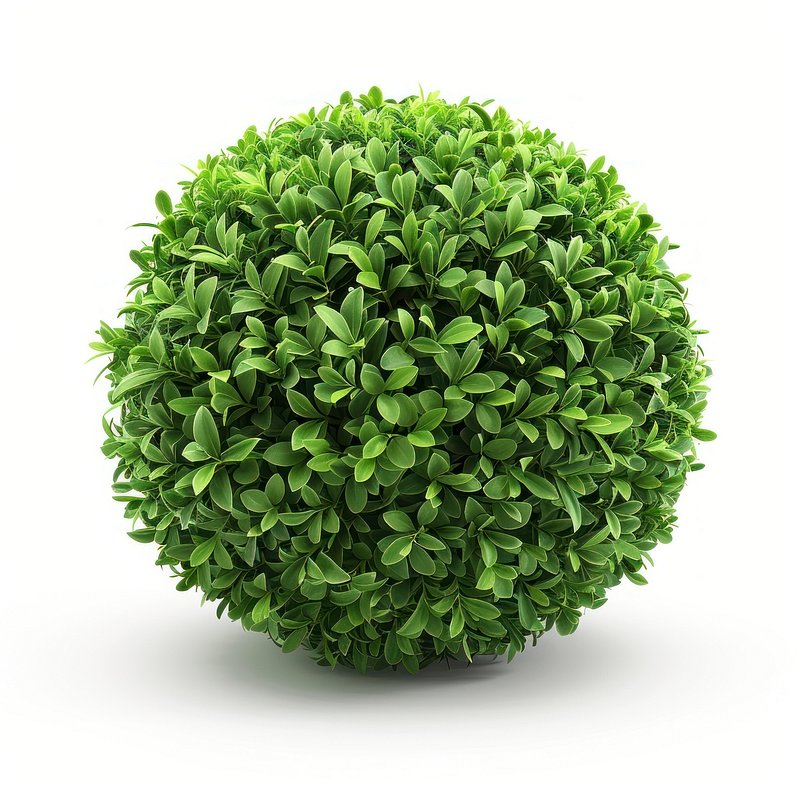 Green bush tree sphere plant | Premium Photo - rawpixel