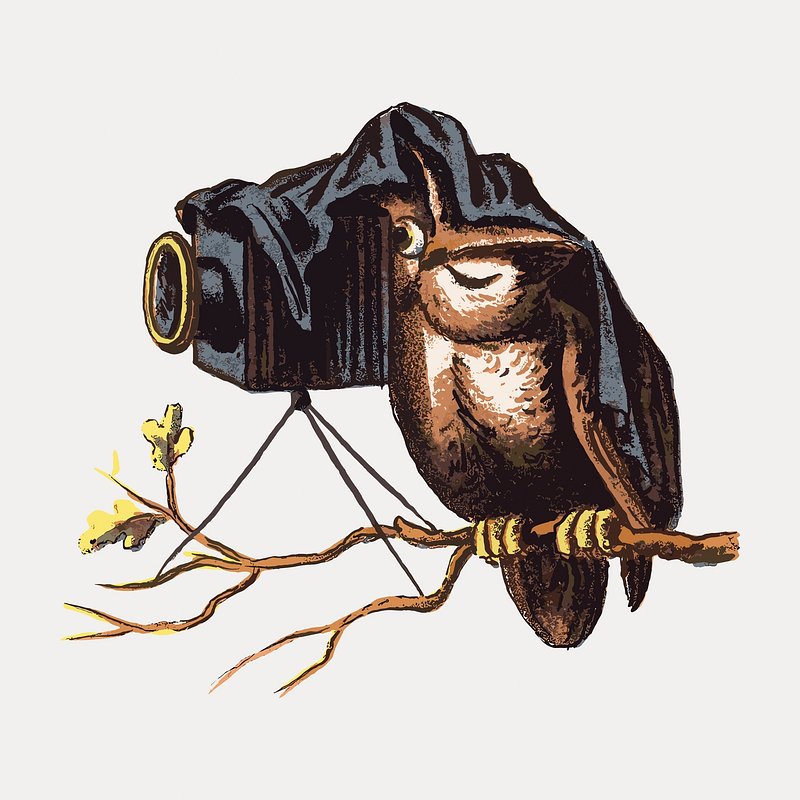 Character Camera Images | Free Photos, PNG Stickers, Wallpapers ...