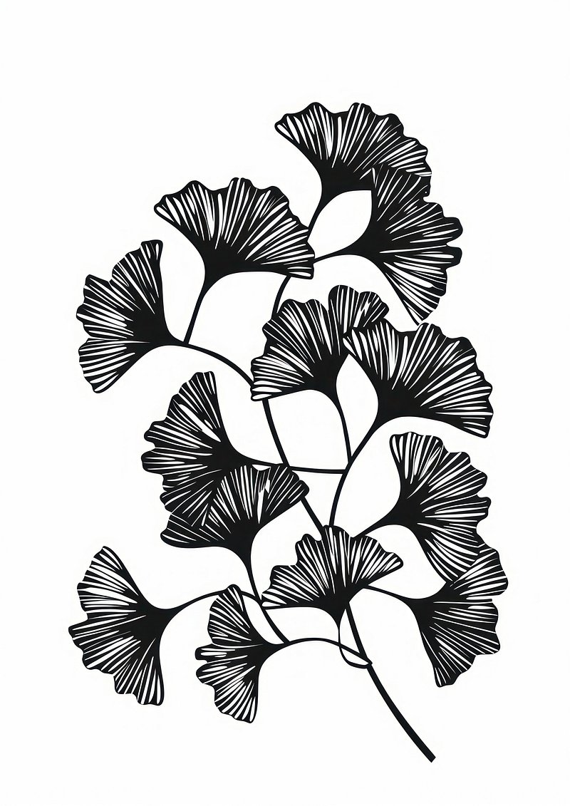 Ginkgo Design Images | Free Photos, PNG Stickers, Wallpapers ...