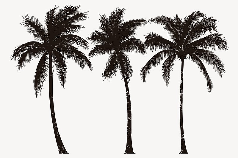 Tropical Drawings Images | Free Photos, PNG Stickers, Wallpapers ...