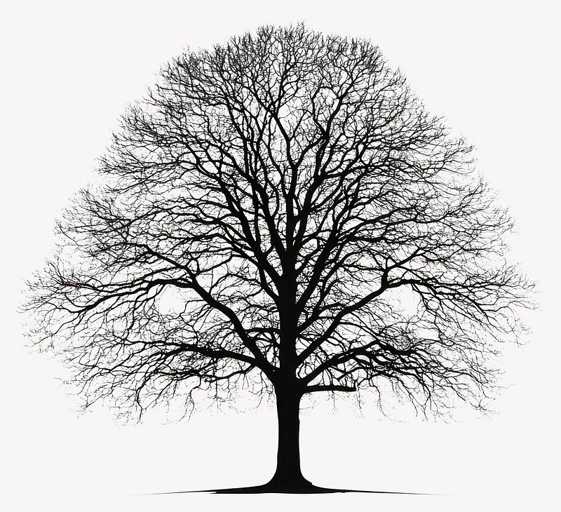 Tree Branch Silhouette Images | Free Photos, PNG Stickers, Wallpapers ...