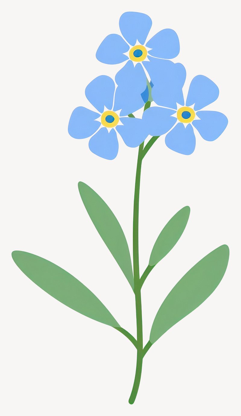 Forget-me-not PNG Images | Free Photos, PNG Stickers, Wallpapers ...