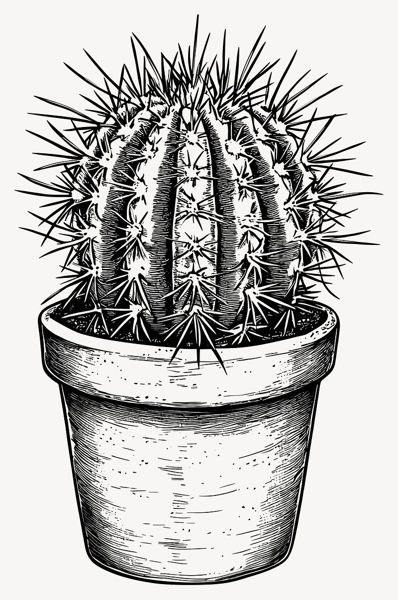 Cactus art illustration drawing vector | Free Vector - rawpixel