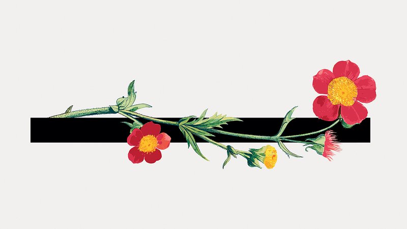 Underline Design Images | Free Photos, PNG Stickers, Wallpapers ...