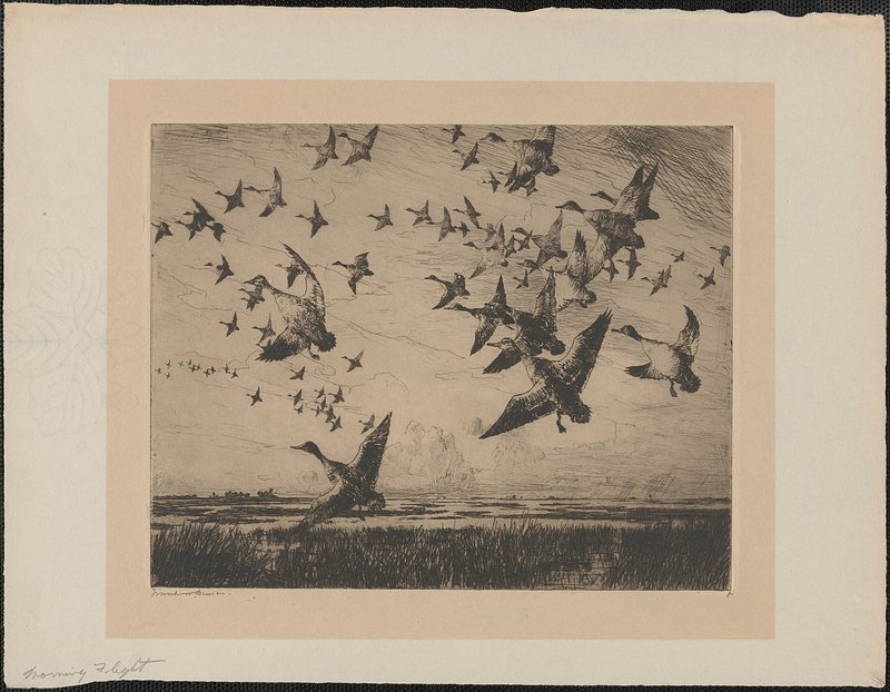 Weston Photo Images | Free Photos, PNG Stickers, Wallpapers ...