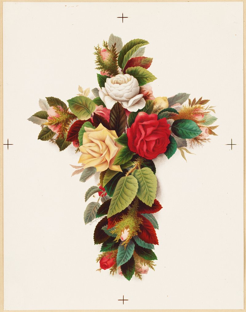 Cross roses Olive E. Whitney | Free Photo Illustration - rawpixel