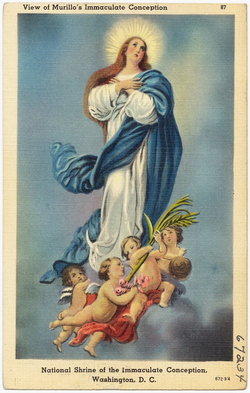 Immaculate Conception Images | Free Photos, PNG Stickers, Wallpapers ...