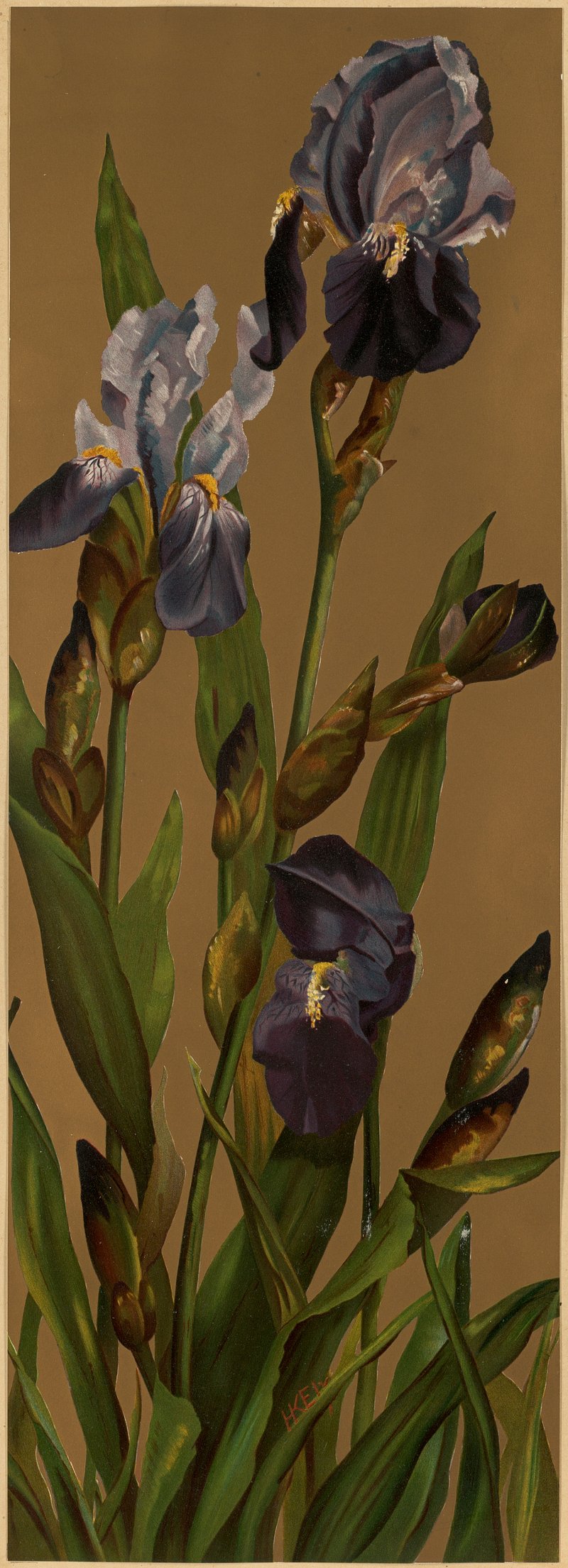 Ely Art Photo Public Domain Images | Free Photos, PNG Stickers ...