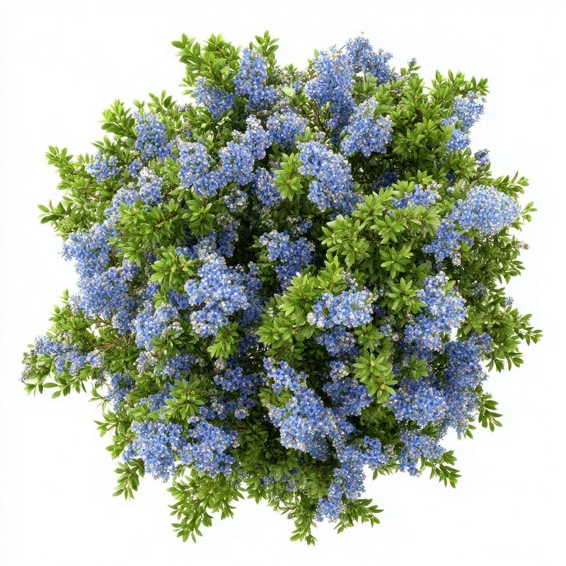 Blooming blue flower tree flowers | Free Photo - rawpixel