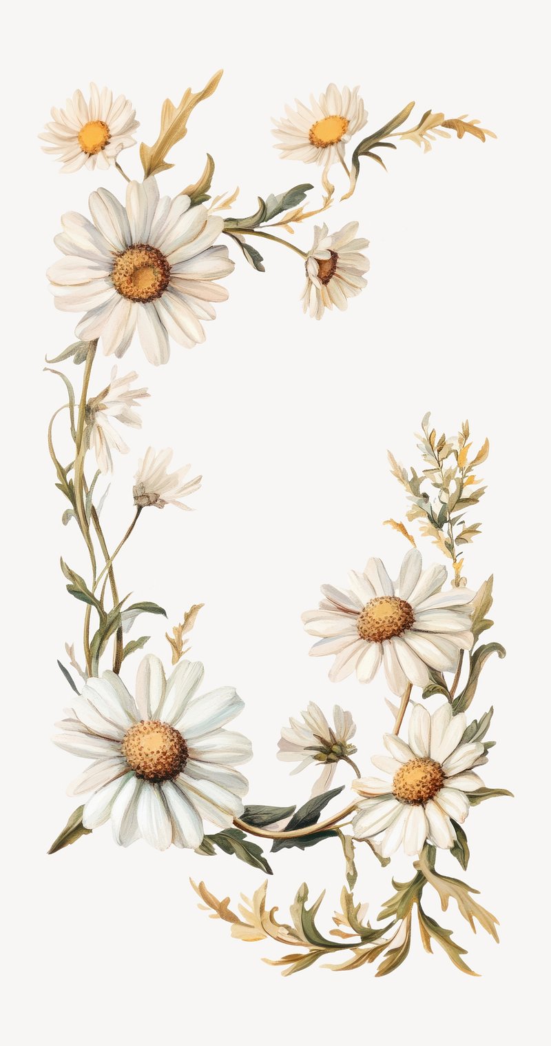 PNG Daisy flowers frames daisy | Free PNG - rawpixel