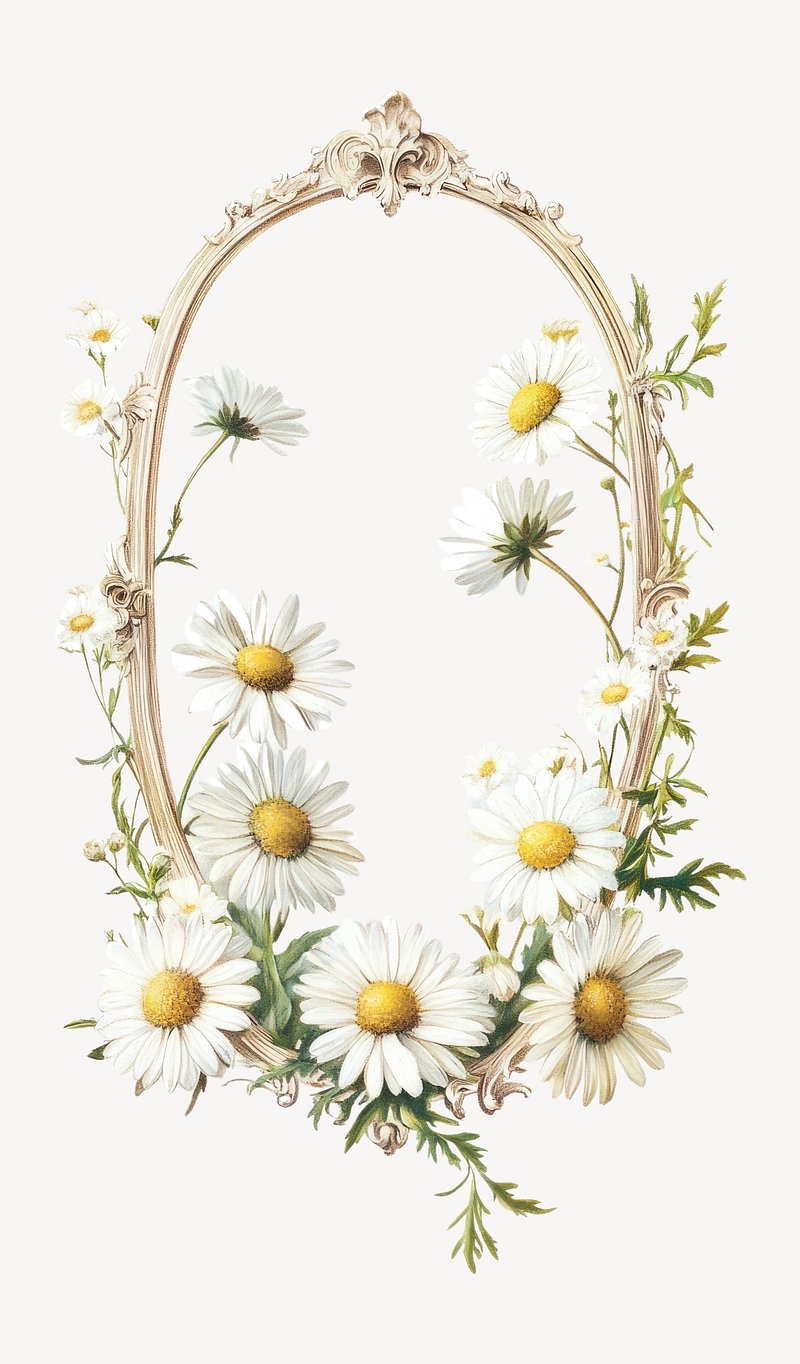 PNG Daisy flowers frames daisy | Free PNG - rawpixel
