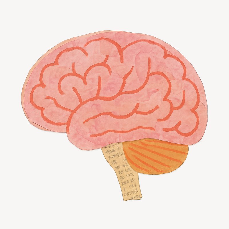 Brain Texture Images | Free Photos, PNG Stickers, Wallpapers ...