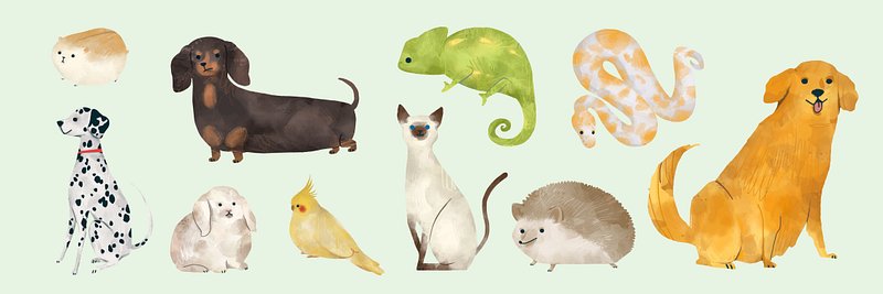 Adorable diverse pet companions | Free Photo - rawpixel
