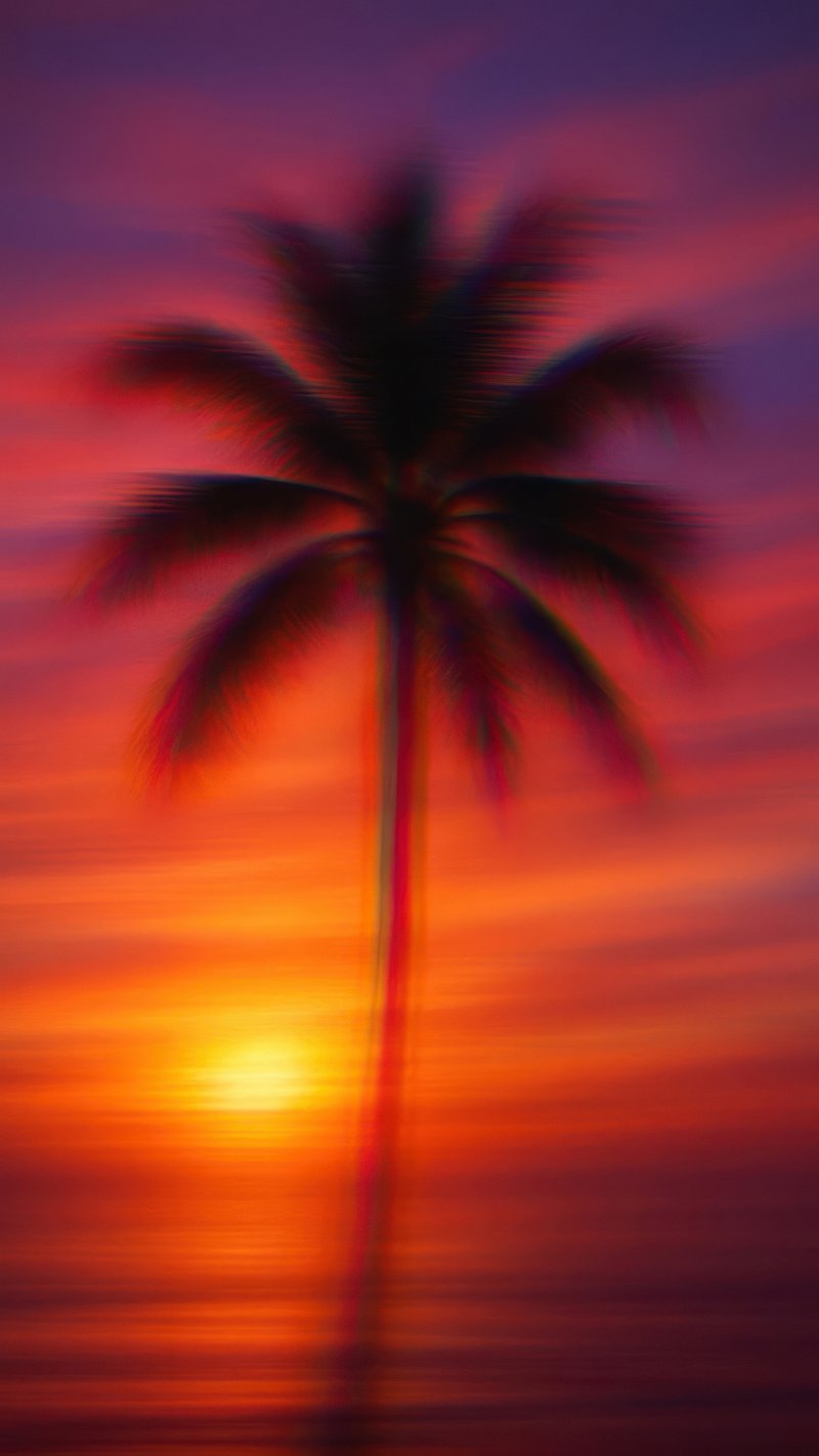 Trees+sounds Nature Images | Free Photos, PNG Stickers, Wallpapers ...