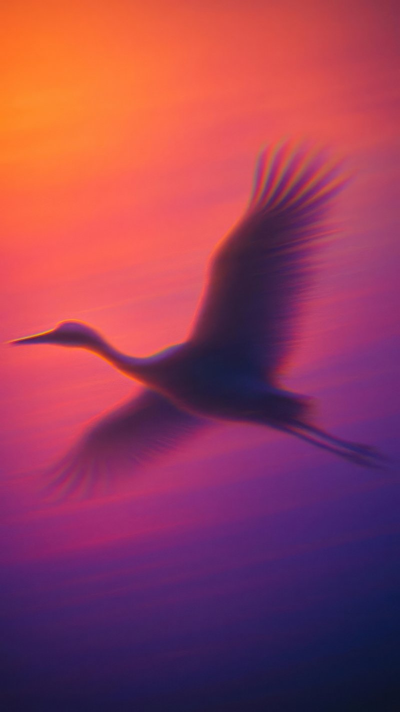 Motion Blur People Images | Free Photos, PNG Stickers, Wallpapers ...