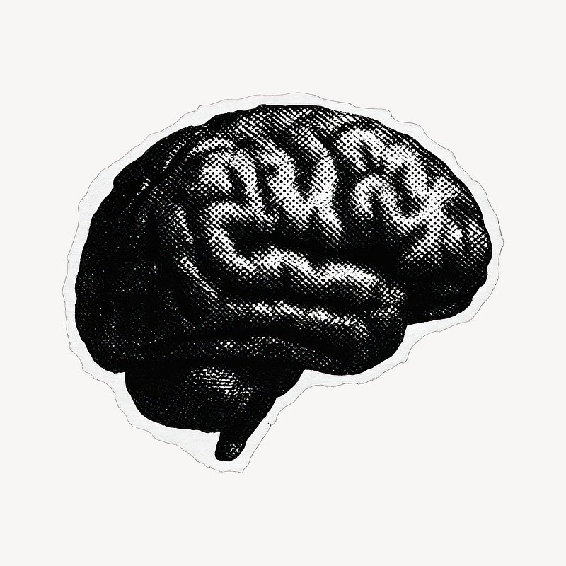 PNG Vintage brain illustration design | Free PNG - rawpixel