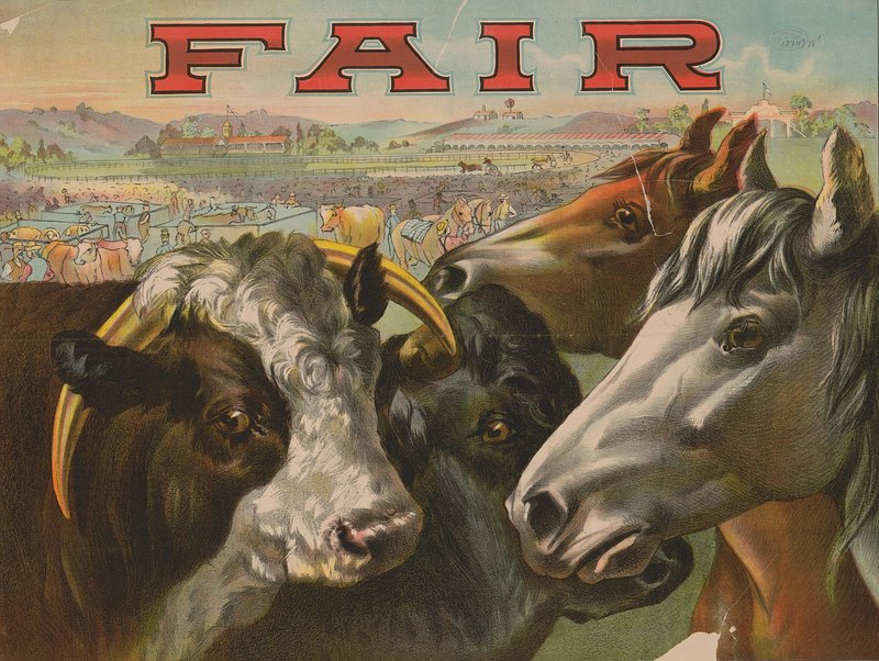 Fair Images | Free Photos, PNG Stickers, Wallpapers & Backgrounds ...