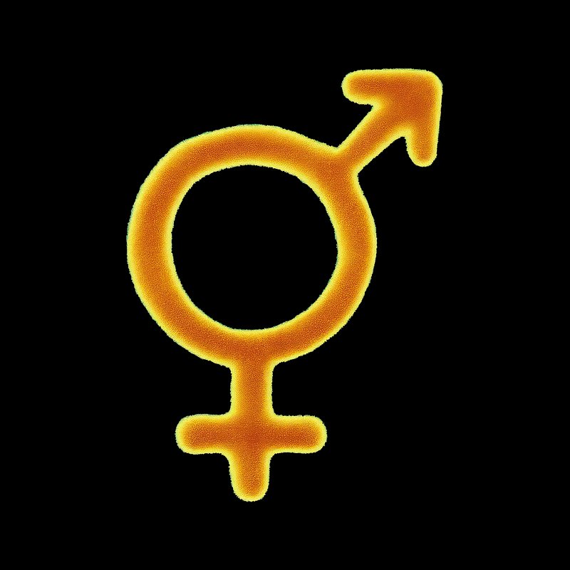 Male+and+female+gender+sign Background Images | Free Photos, PNG ...