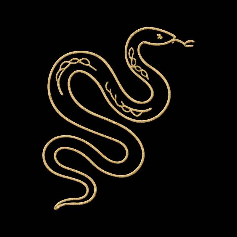 Snake Overlay Texture Images | Free Photos, PNG Stickers, Wallpapers ...