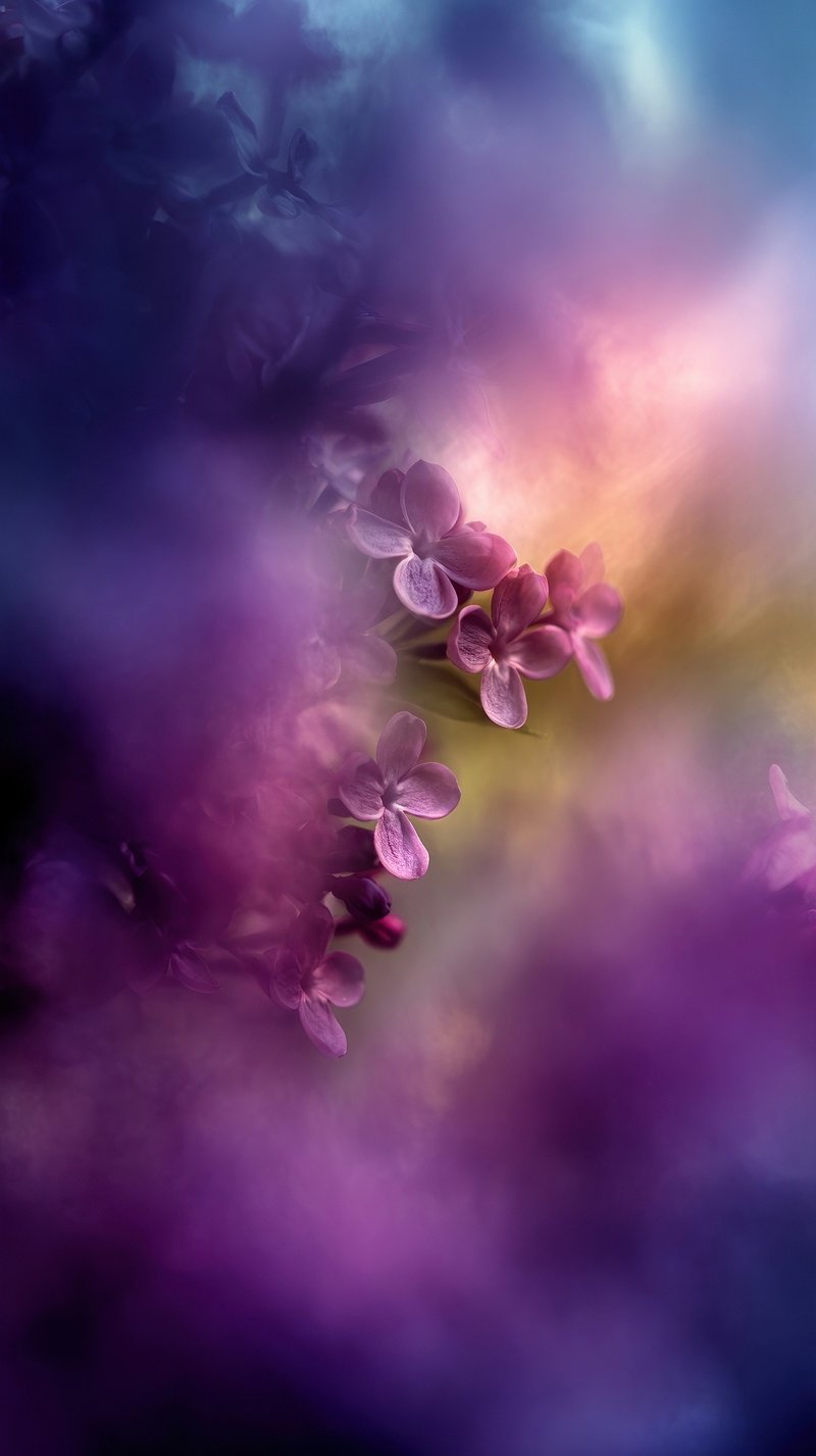 Nature Live Wallpaper Images | Download Free Design Resources on rawpixel