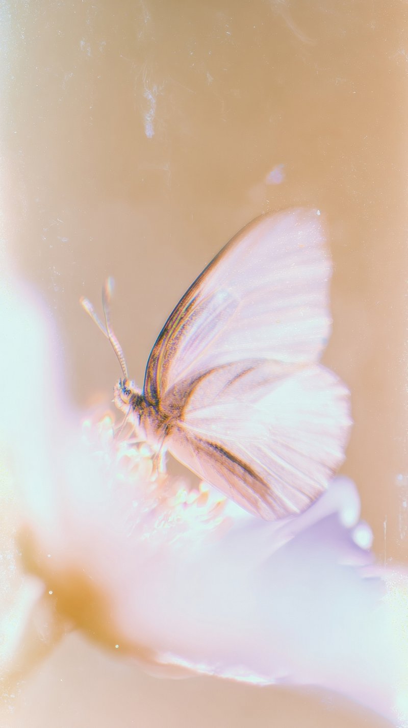 Plain TIFF Aesthetic Iphone Wallpaper Images | Free Photos, PNG ...