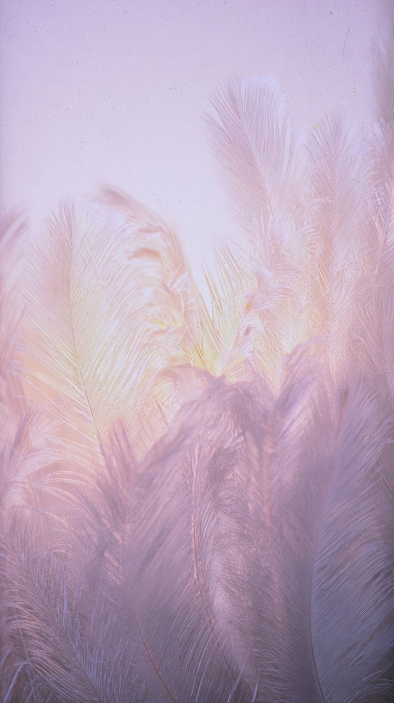 Story+of+art Plant TIFF Mobile Wallpaper Images | Free Photos, PNG ...