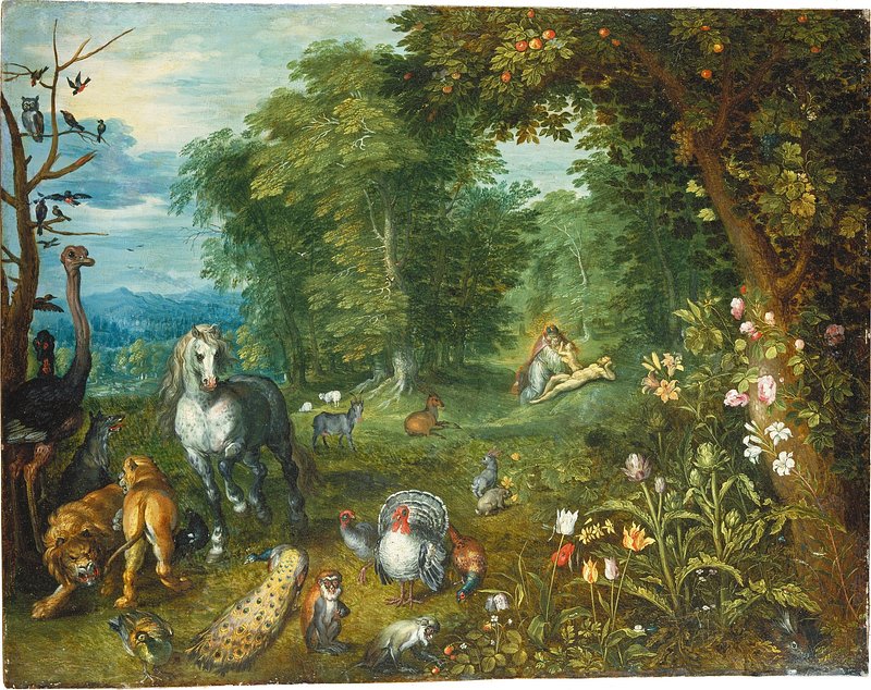 Eden Cc0 Tree Images | Free Photos, PNG Stickers, Wallpapers ...