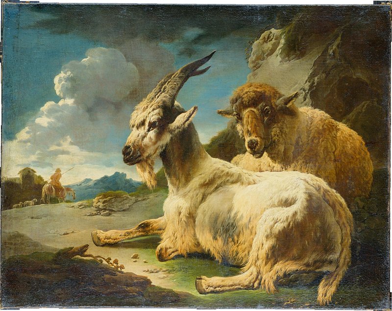 Public Domain Images Goat Mammal Images | Free Photos, PNG Stickers ...