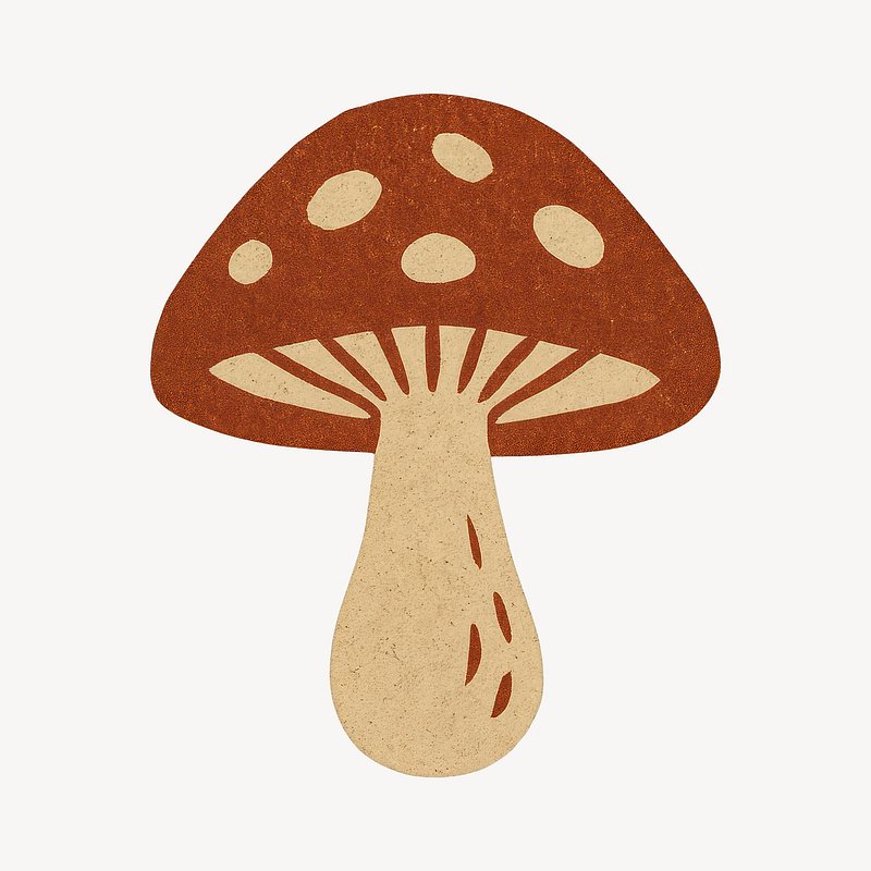 Cross+border Aesthetic Images | Free Photos, PNG Stickers, Wallpapers ...