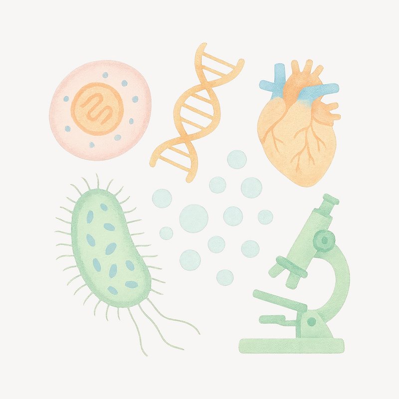 Human Biology Dna Art Images | Free Photos, PNG Stickers, Wallpapers ...