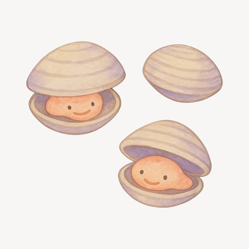 Clam Cartoon Images | Free Photos, PNG Stickers, Wallpapers ...