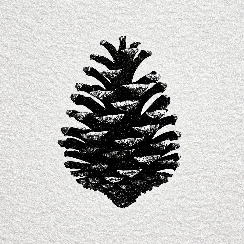 Poster PNG Images | Free Photos, PNG Stickers, Wallpapers & Backgrounds ...